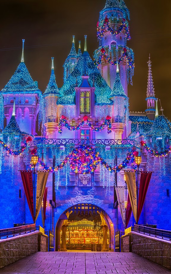 Disney Photoblography