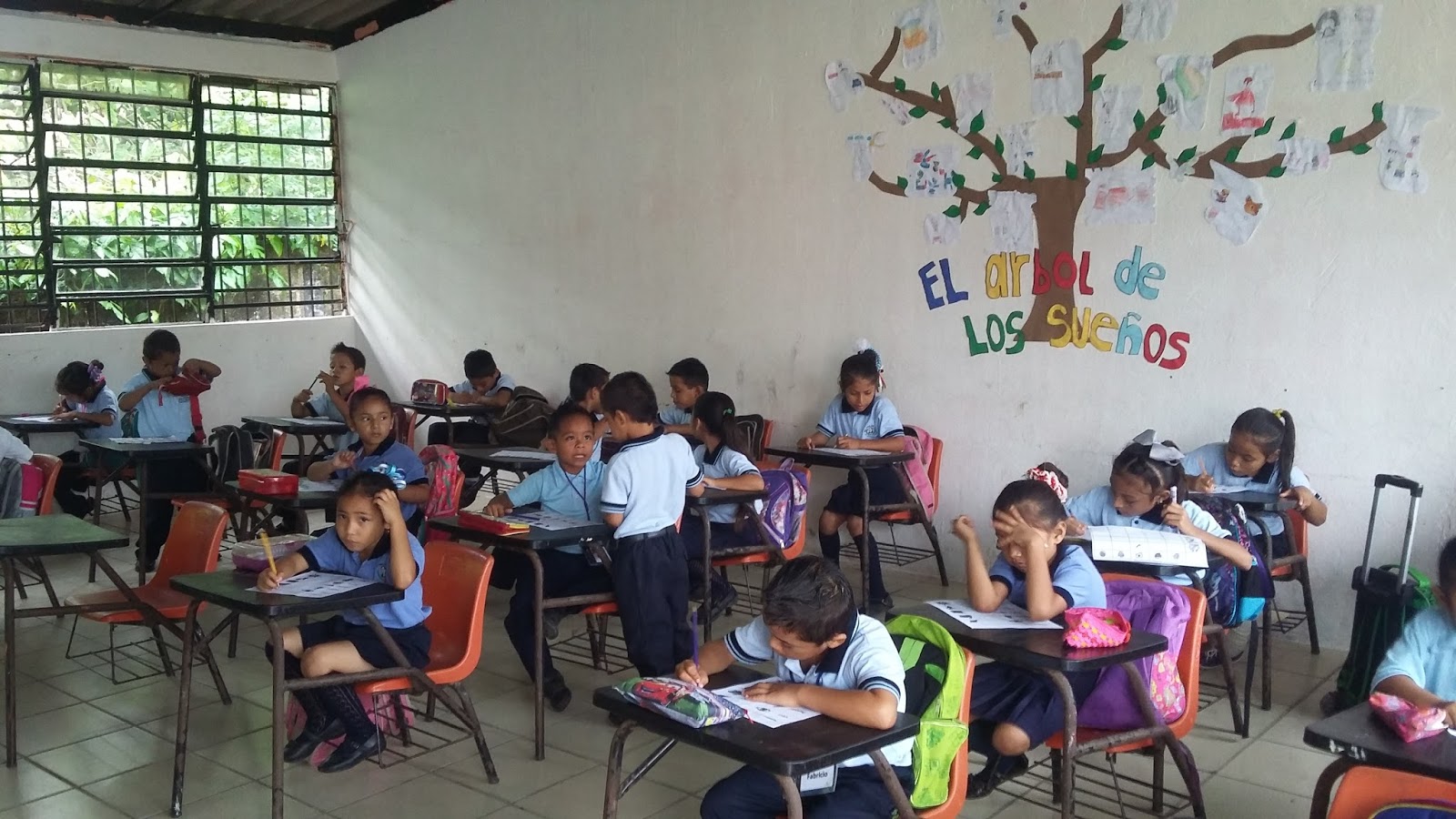 Mi Jornada en Escuela Multigrado - Efrain del Valle