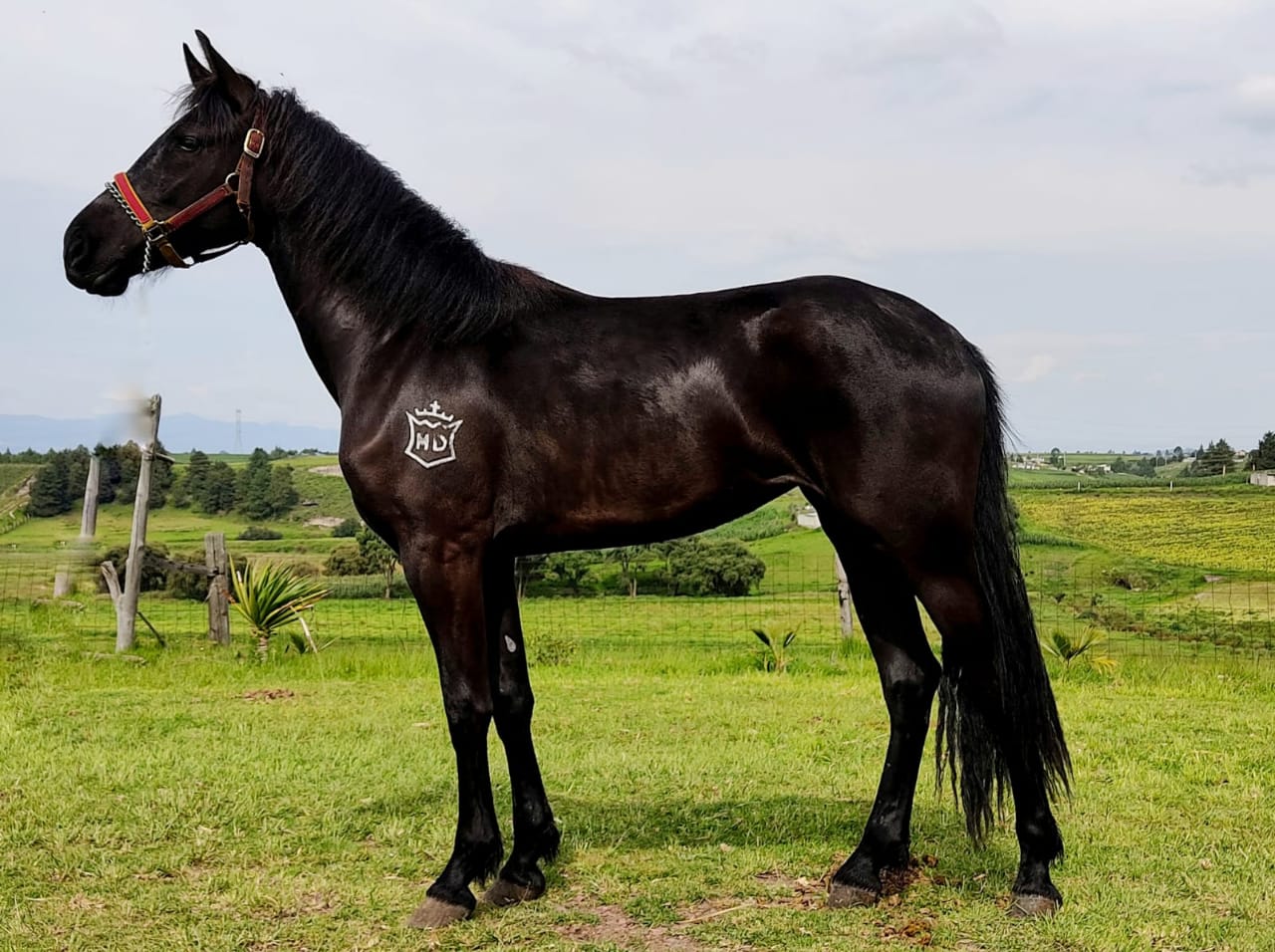 Entrada más reciente Entrada antigua Página Principal