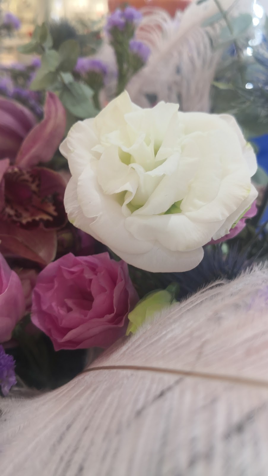 11 tips How to shoot flowers photography