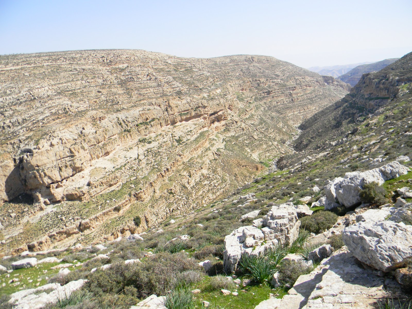 Israel: Parat Springs Hike