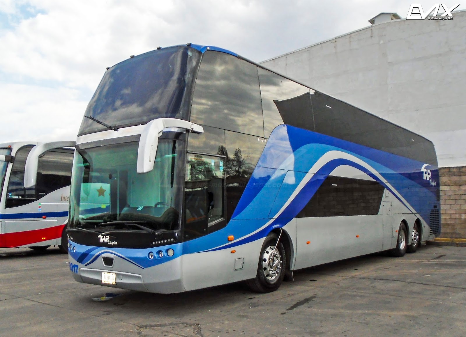 Transportes y Autobuses del Pacífico: TAP Confort - Bus-México