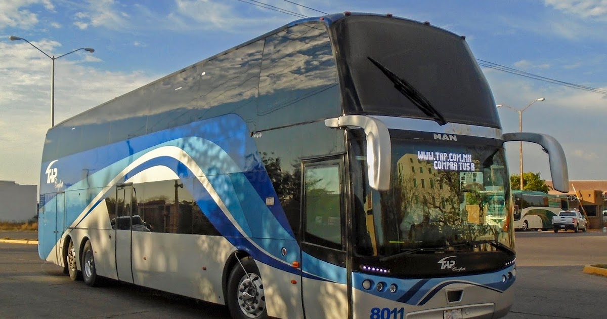 Transportes y Autobuses del Pacífico: TAP Confort - Bus-México