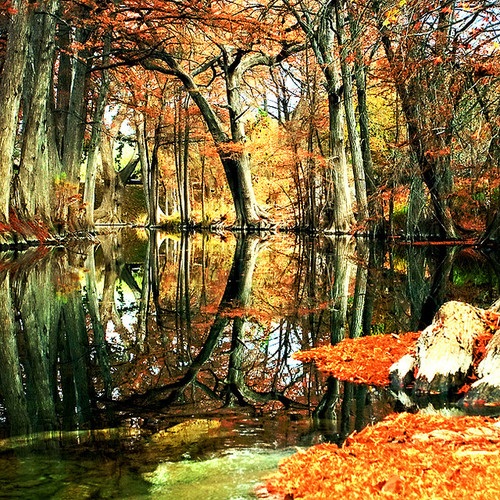 Celebrating The Seasons: Autumn is almost here. :)