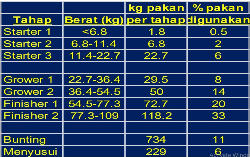Tujuan pemberian pakan babi bunting: