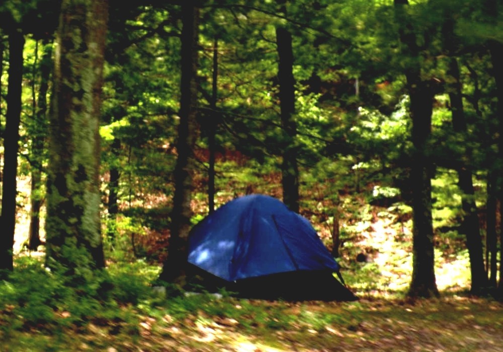 List Of Michigan State Forests - Mi State Forest Campgrounds