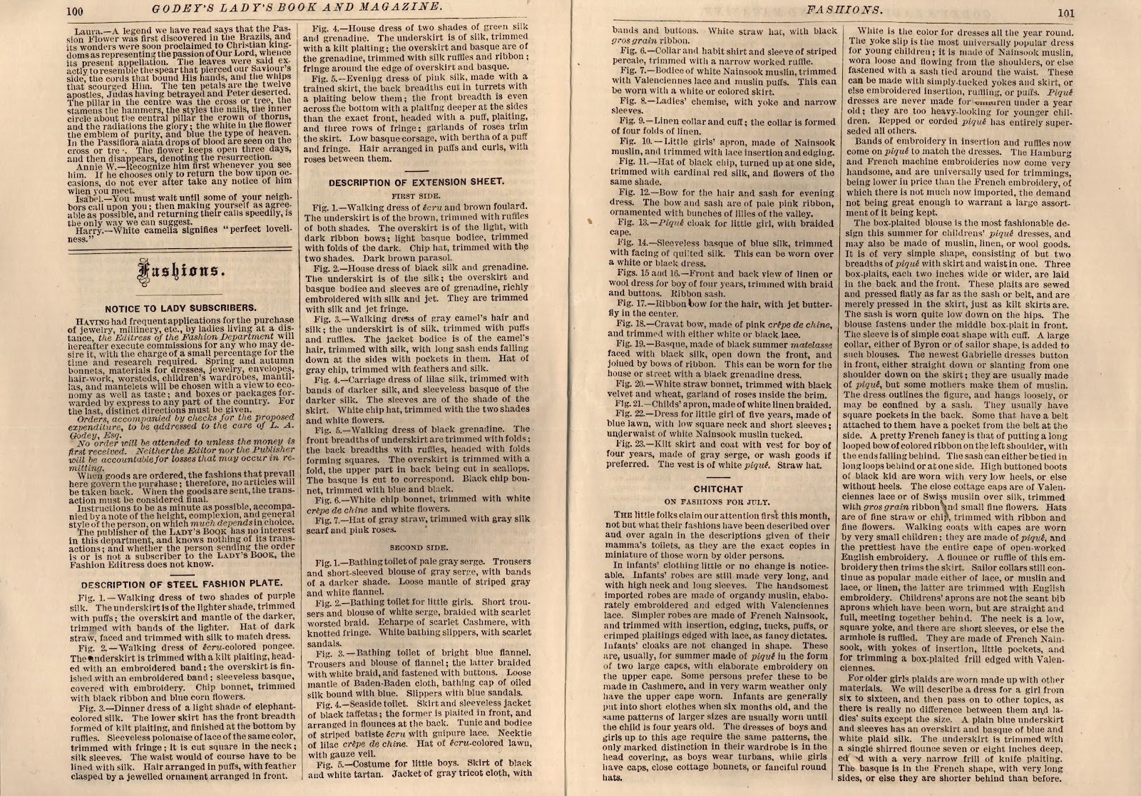 Taylor M. Polites: Godey's Lady's Book - July 1875