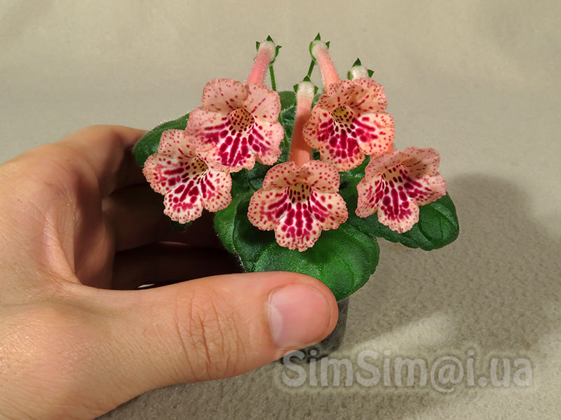 Beauty will save the world!!!