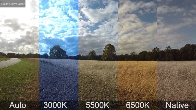 How to Set the White Balance and What It Affects In Photography