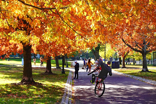 Joe's Retirement Blog: Fall - Boston Common, Boston, Massachusetts, USA