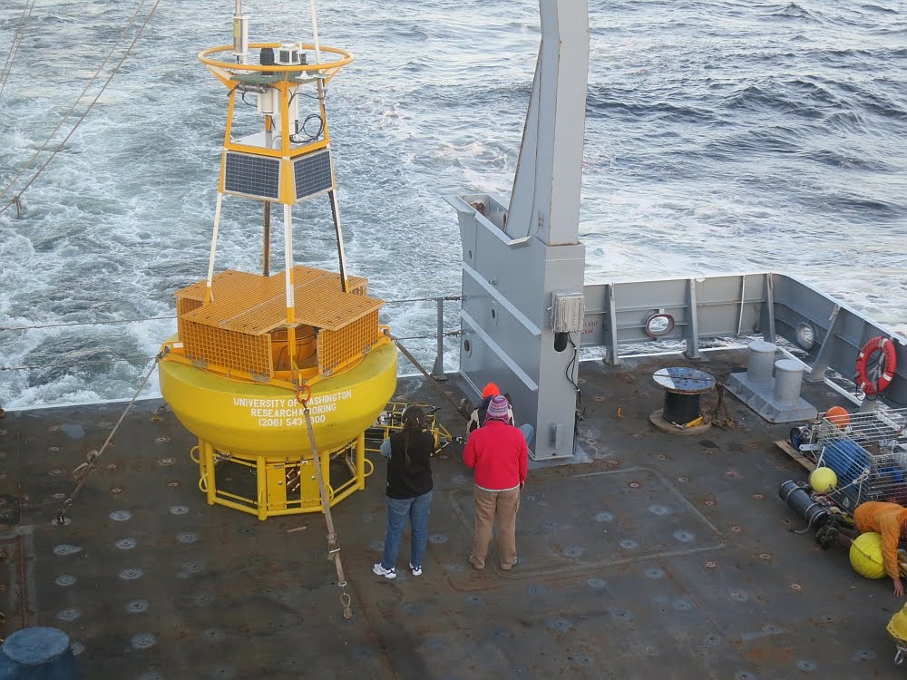 Ocean In View: The Ship, The Science, The Scenery