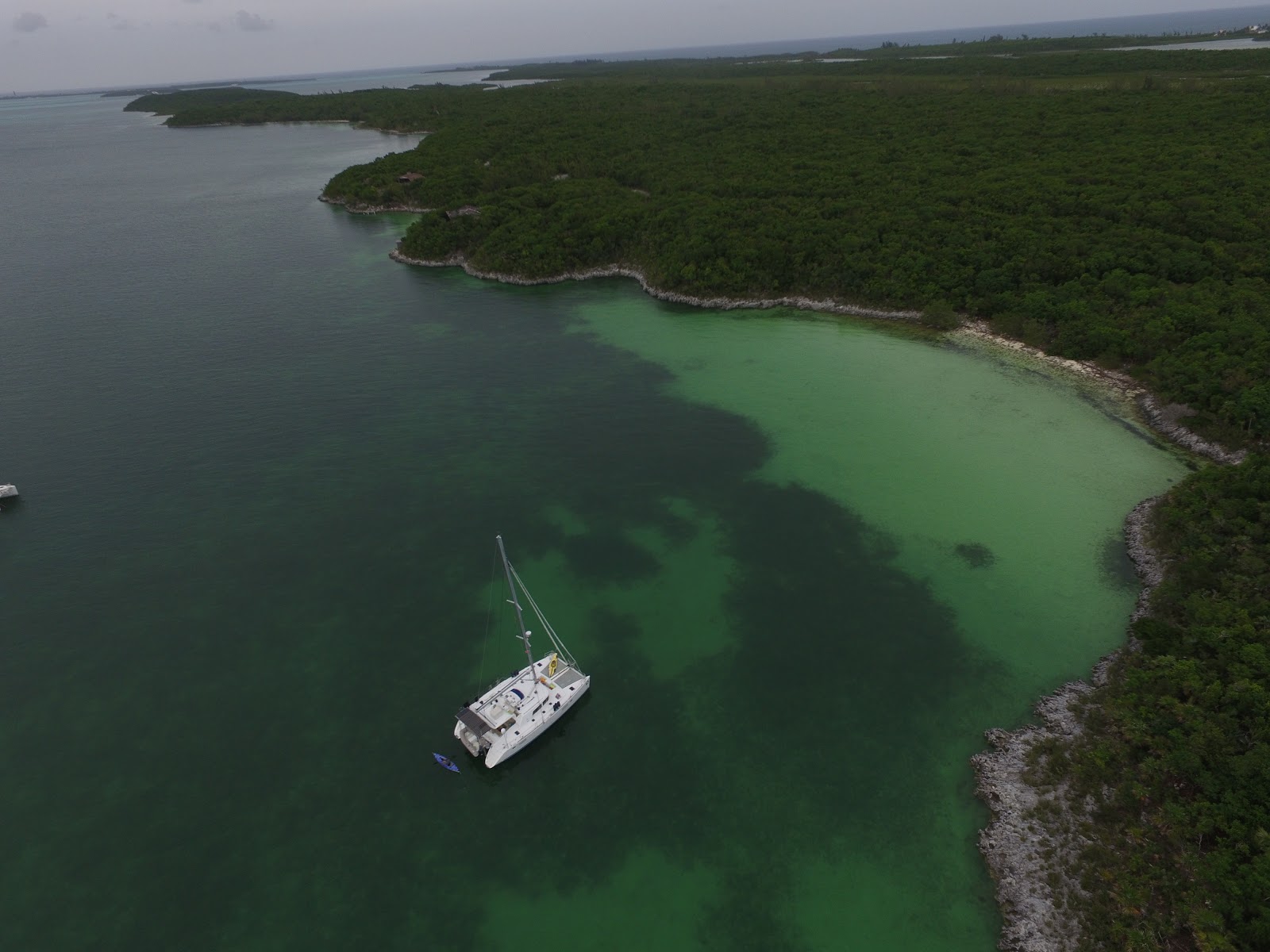 Bird's eye view of Pandion