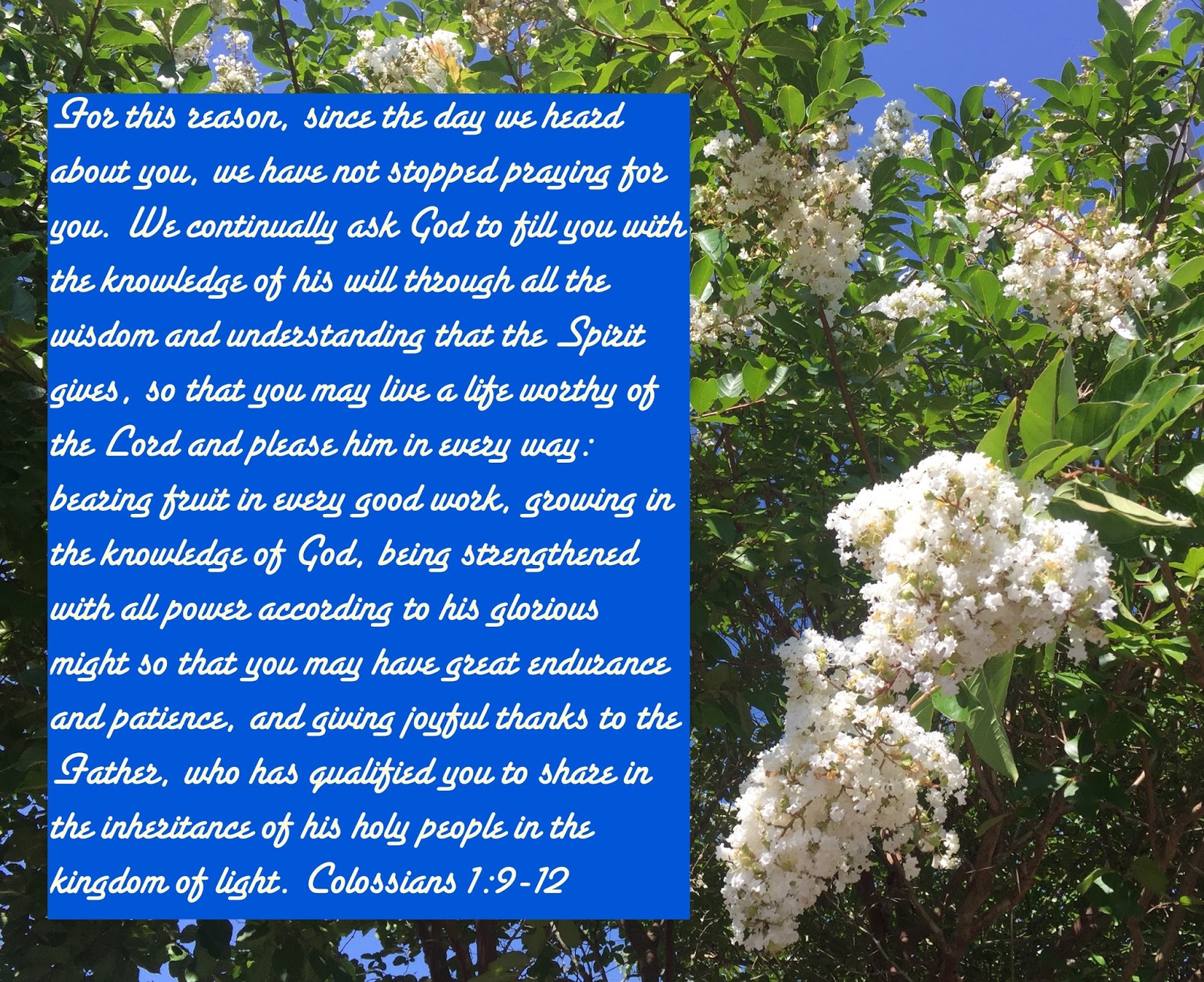 My Strength: Colossians 1:9-12 - "God Will Make A Way"