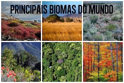 Professora Regina Bolico : Os grandes biomas terrestres - parte 1