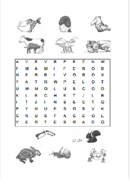 ANIMALES VERTEBRADOS