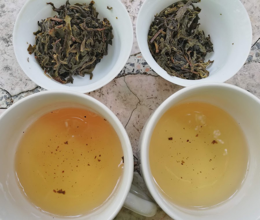 Tea in the ancient world: King Tea Mall Nan Nuo and Zi Qi comparison