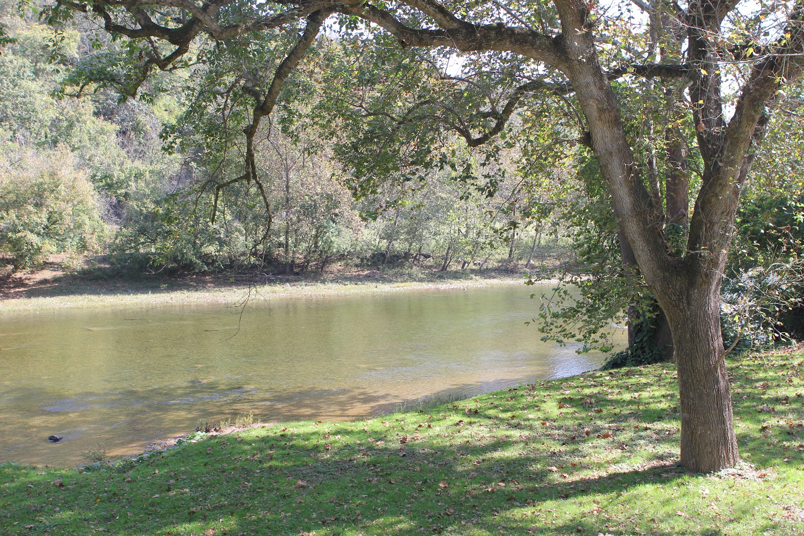 Romancing the Home: Trip to Virginia - A Week of Contrasts and Stunning ...