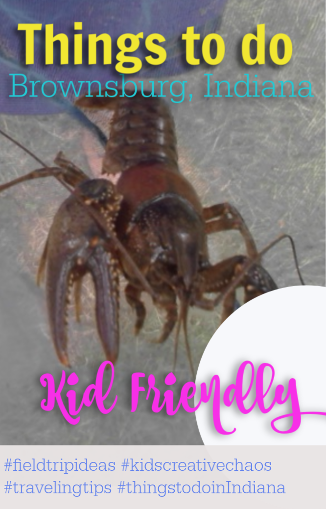 Summer Fun In The Creek: With Indiana Crawfish - Adventures of Kids ...