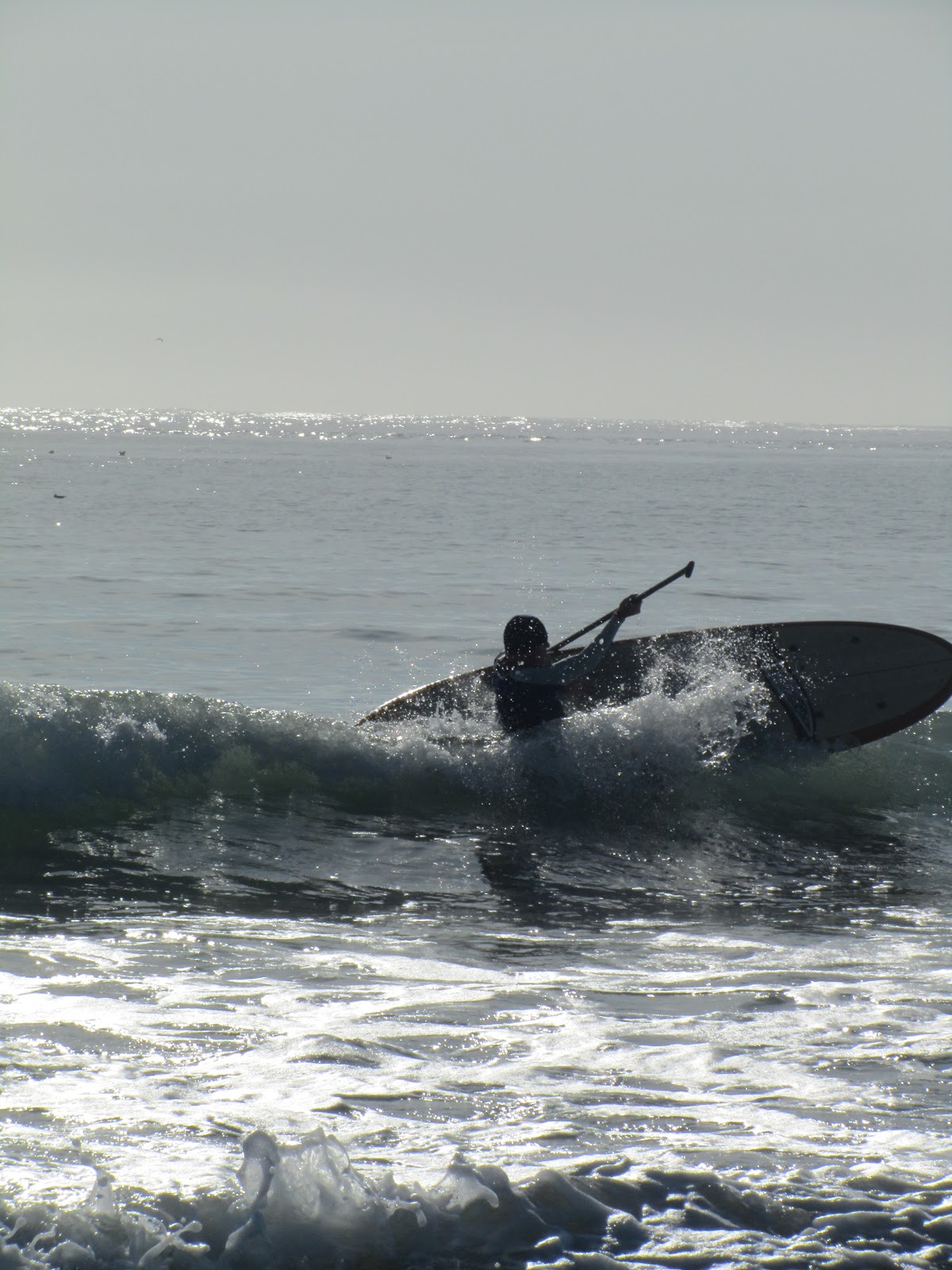 Paddle Standing Up: Surfing at Doran Beach, CA