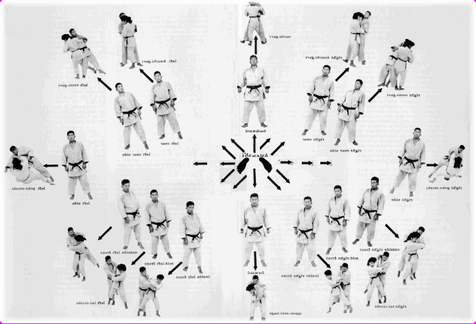 Taking charge of your own training: periodization, solo training etc ...