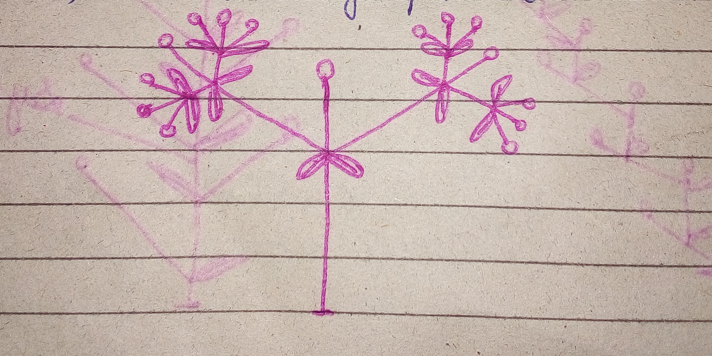 Biology Topics: Branching pattern : Monopodial and sympodial growth