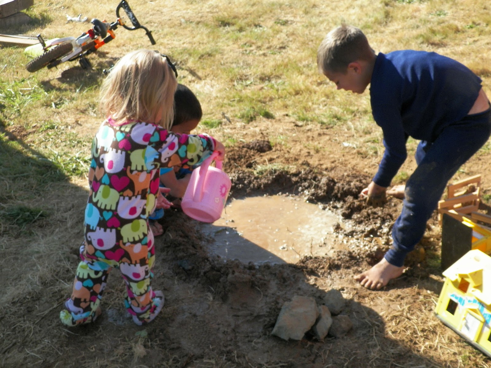 From Cedar Pond to Laughing Dove Farm : Mud Buddies