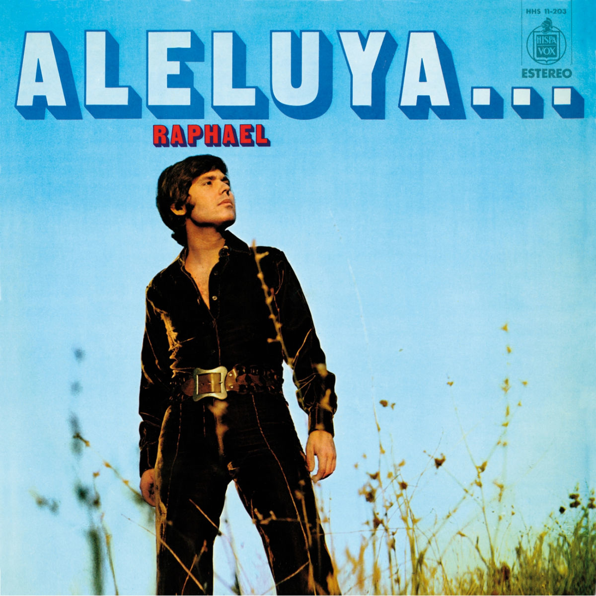 Mis discografias : Discografia Raphael