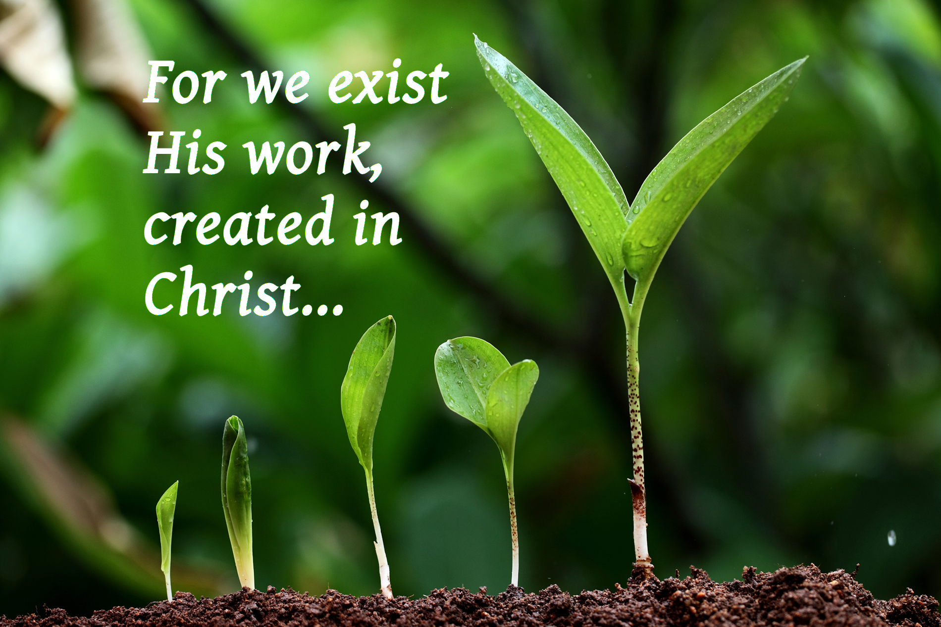 The Effective Work of God