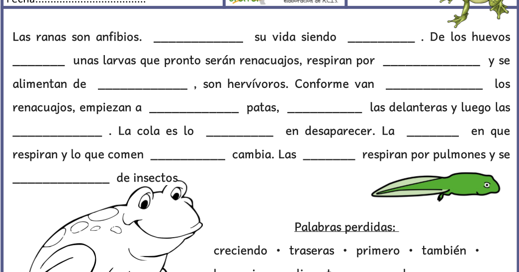 Un poco de todo para la clase: Leemos sobre las ranas