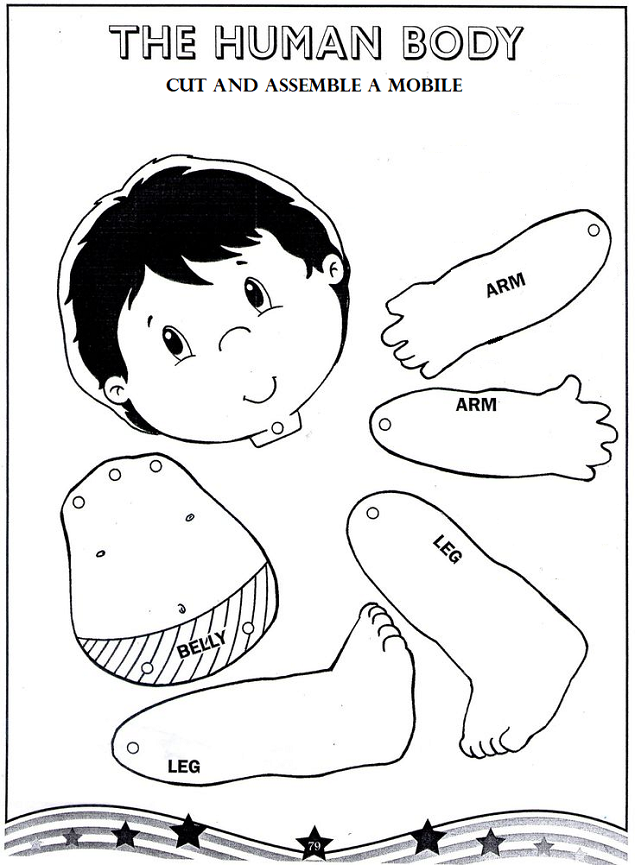PARTS OF THE BODY: ACTIVITIES