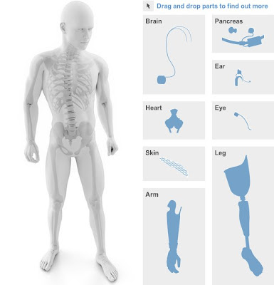 Maximizing Progress: Bionic Bodies ~ BBC on Better, Stronger, Faster