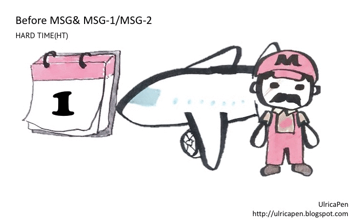Ulrica Pen in Aviation: Aircraft Maintenance - What is MSG?