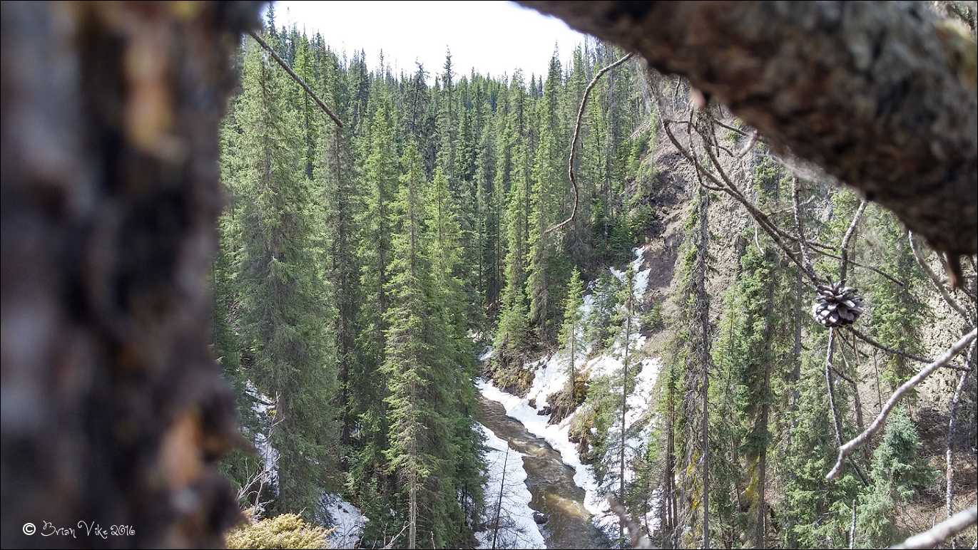Northern Interior British Columbia: Findlay Creek And Canyon Topley ...