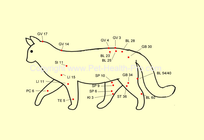 Oklahoma Skeptic: Acupuncture for the beginning Skeptic.
