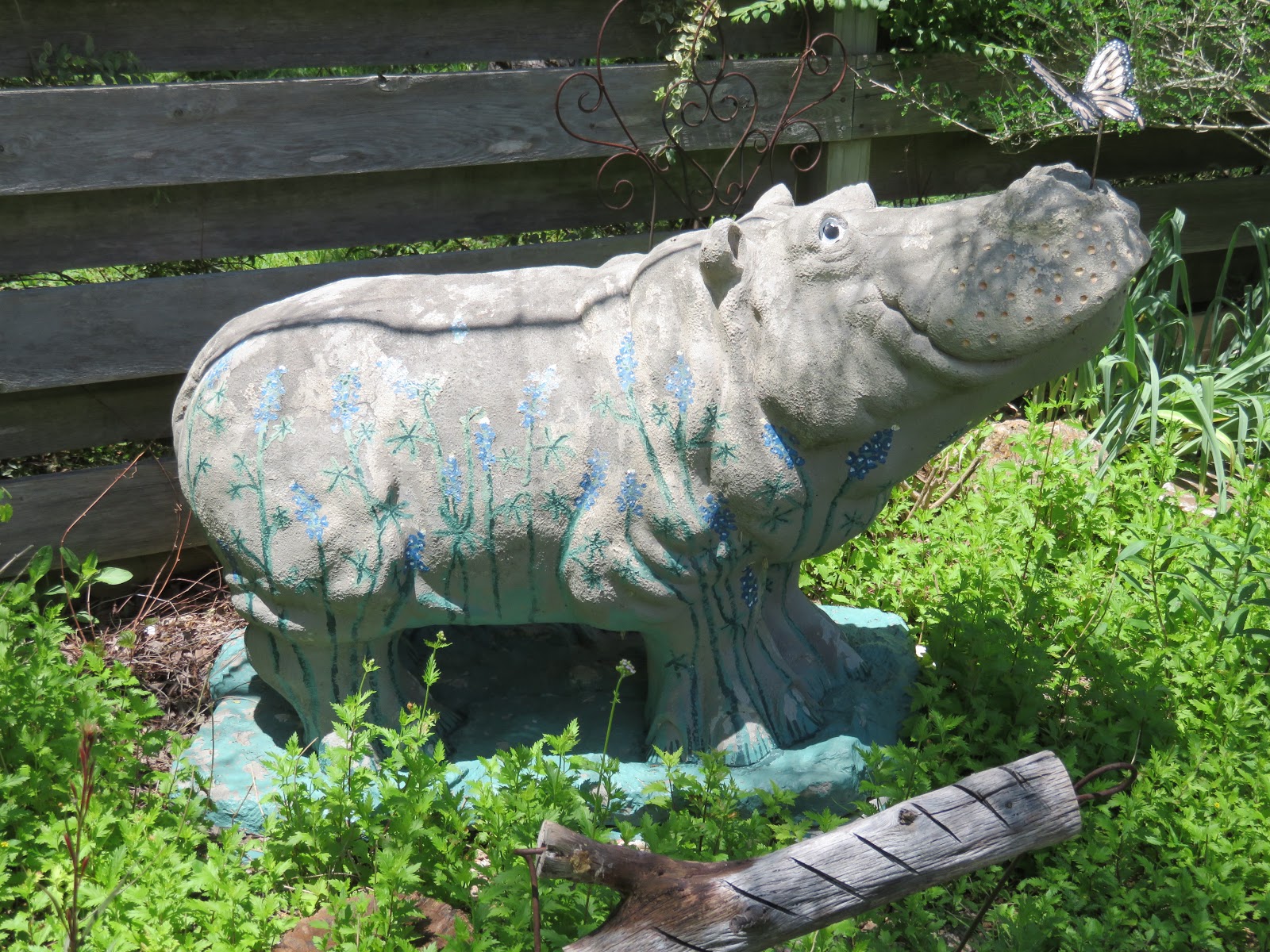 Garden Blogger's Fling, Austin: Donna Fowler