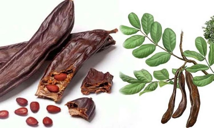BENEFICIOS DE LA ALGARROBA PARA TU SALUD. Y para mantener un peso ...