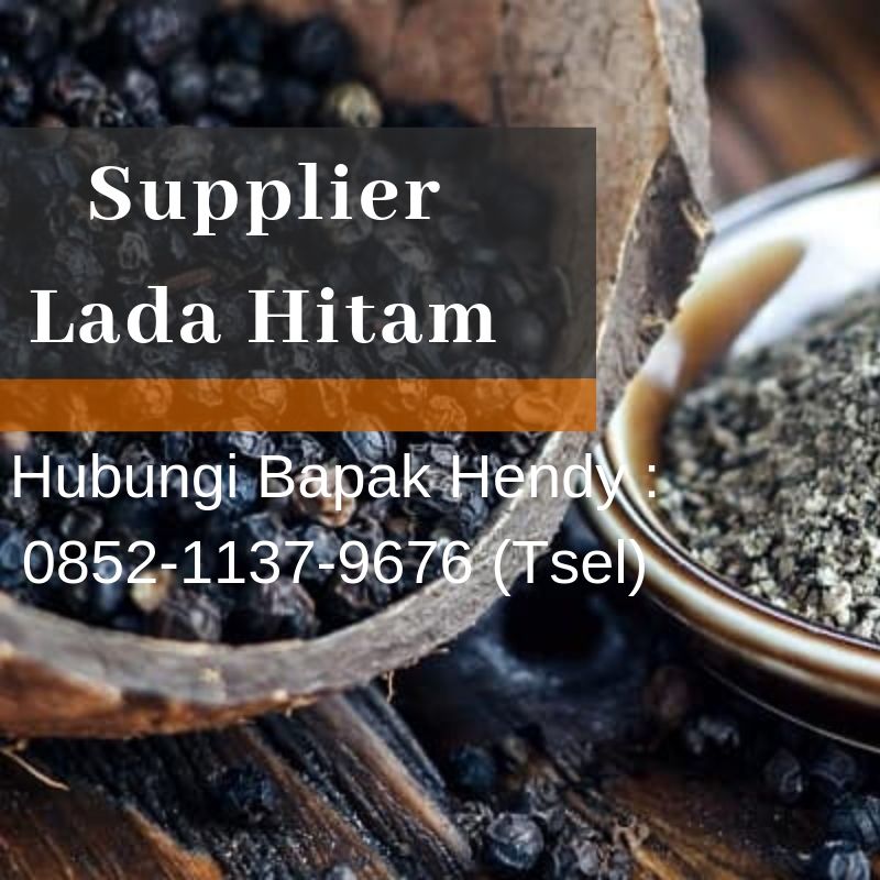 Supplier Lada Hitam, Lada Hitam Lampung, Merica, 0852-1137-9676 (Tsel)