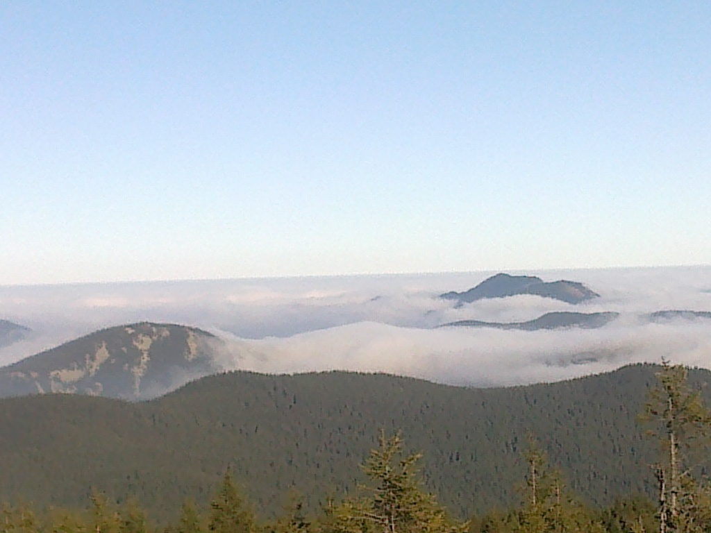 Silviu Bălan : Lacauti- Vrancei