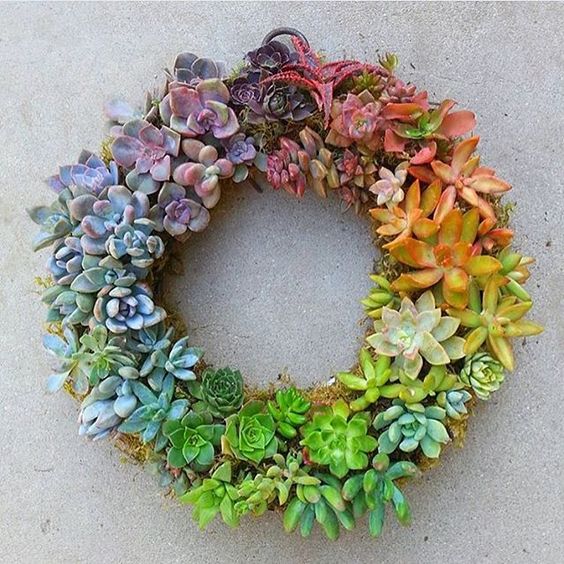 14 Gorgeous Ways to Display and Decorate with Succulents | Dans le ...