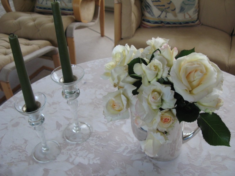 STRIKINGES HAVE: En utrolig flot hvid klatrerose