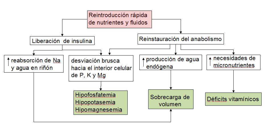 Futura doctora... Dra. Nova: Síndrome de Realimentación