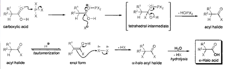 Organic Chemistry II Blog: Synthetic Application of HVZ Reaction