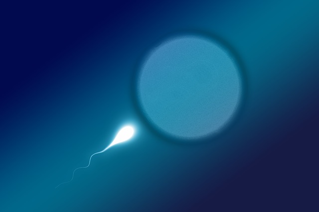 Top Fertility Articles Should You Have Your Sperm Frozen top-fertility-articles-should-you-have-your-sperm-frozen