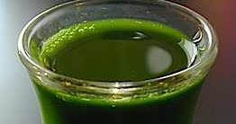 Sucul de GRÂU verde păreri forum beneficii, proprietăţi, indicaţii şi ...