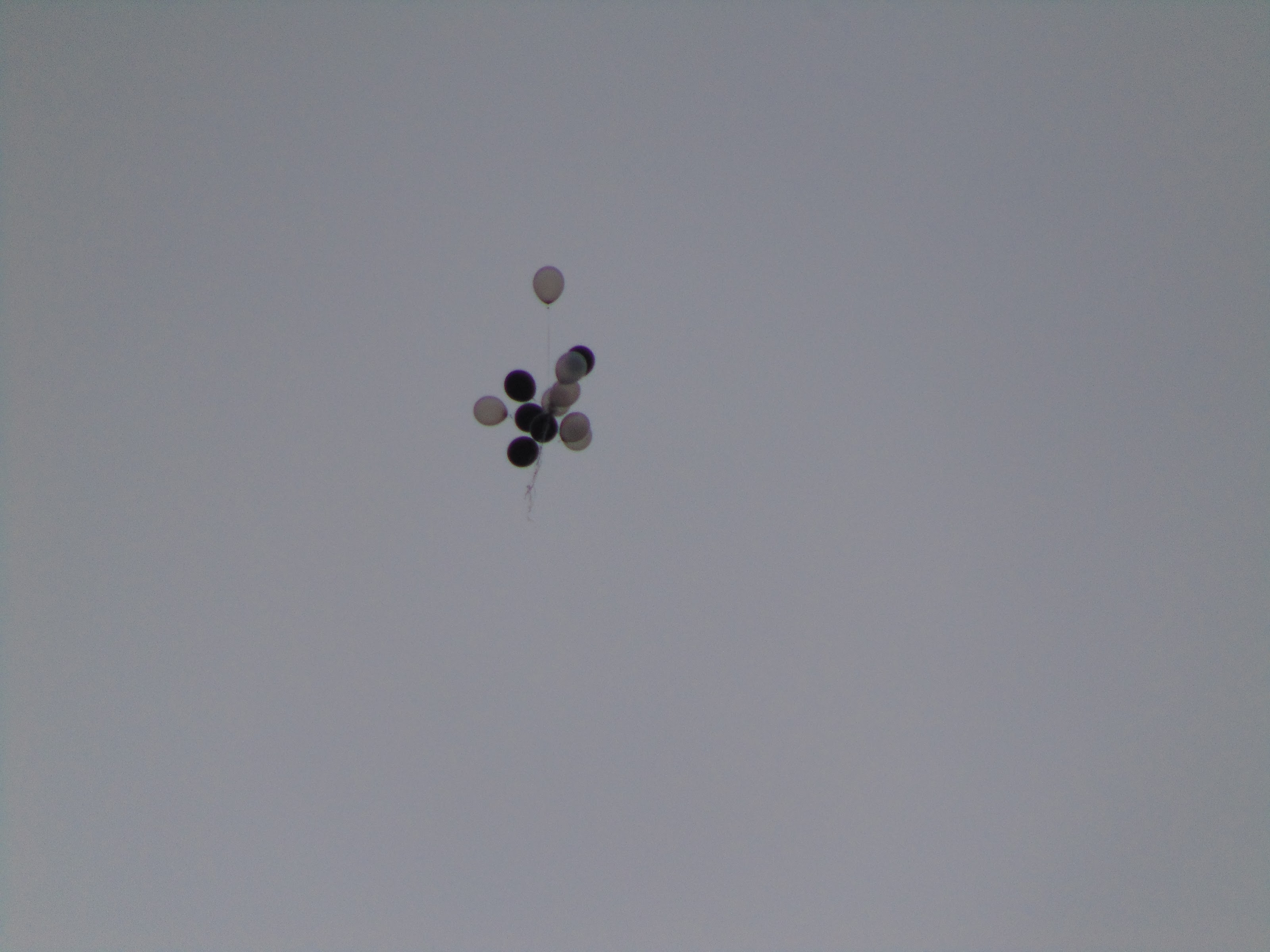 WEB OF EVIL (& ENNUI): Free Balloons