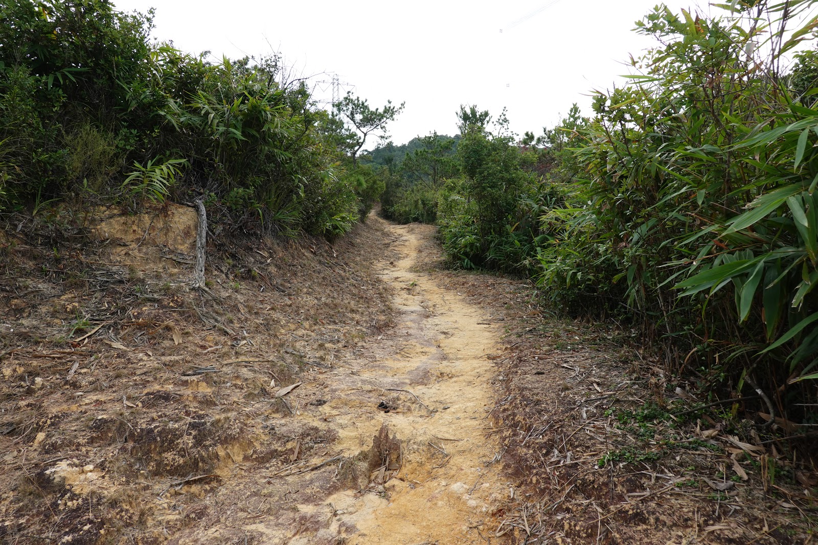 消耗五百食翻一千※香港行山記: 河背村→圓墩郊遊徑→深井 Ho Pui Village→Yuen Tun Country Trail→Sham ...