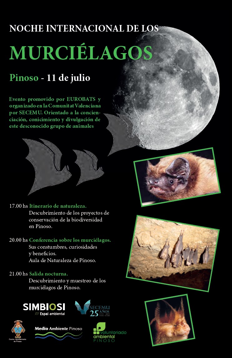 Cuaderno de Murciélagos: La Noche de los Murciélagos vuelve a Pinoso
