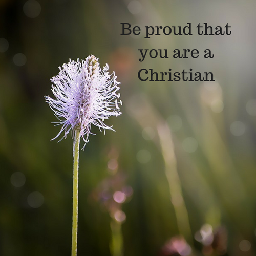 Daily Grace, Todays Godly Reminder , Bible Quotes, Verses, Prayers ...