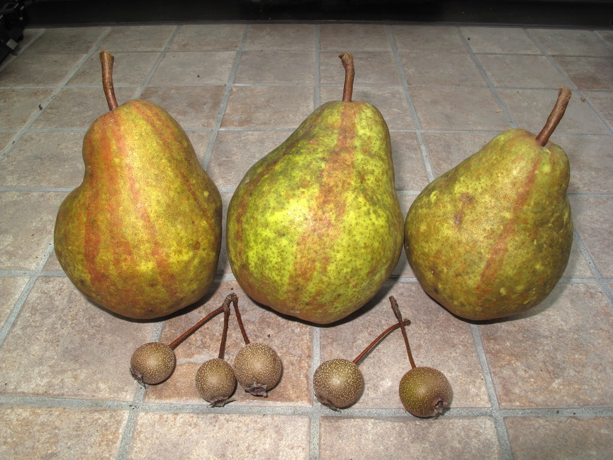 The Joyce Road Neighborhood