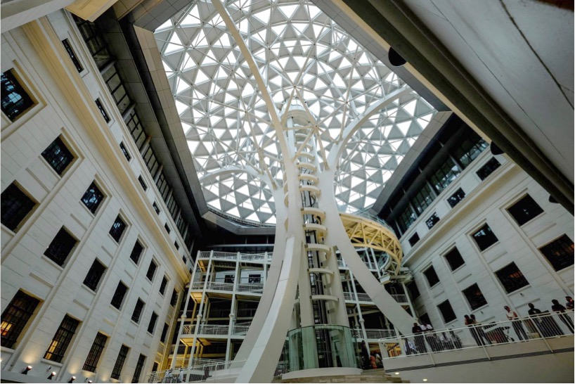 Dominic Galicia: National Museum of Natural History